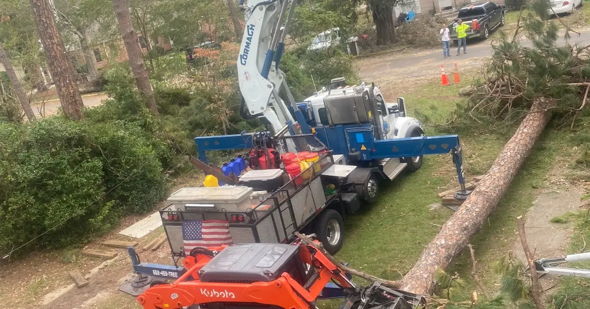 Garrison McKinney Tree Service | North MS #1 Rated Tree Care