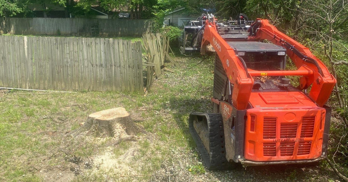 Tree Root Grinding: When Is It Necessary After Tree Removal?